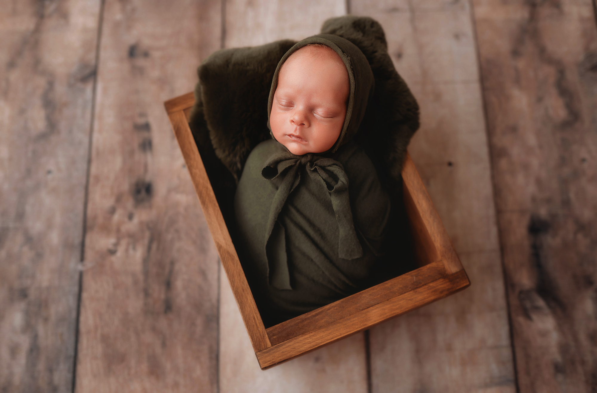 Newborn Baby Boy Session | Asheville Family Photography