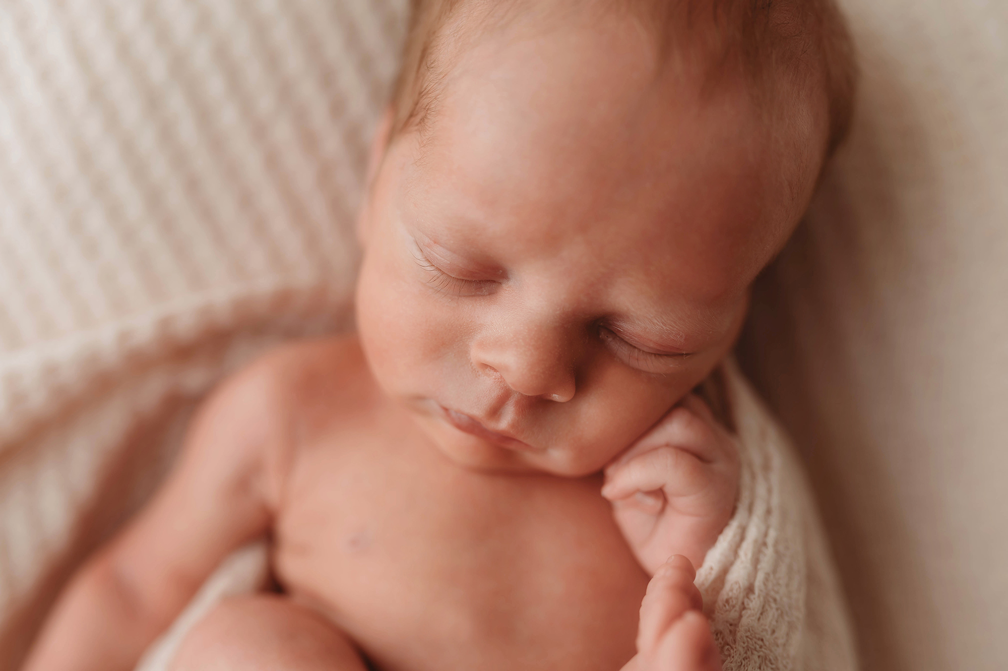 Newborn Baby Boy Session | Asheville Family Photography