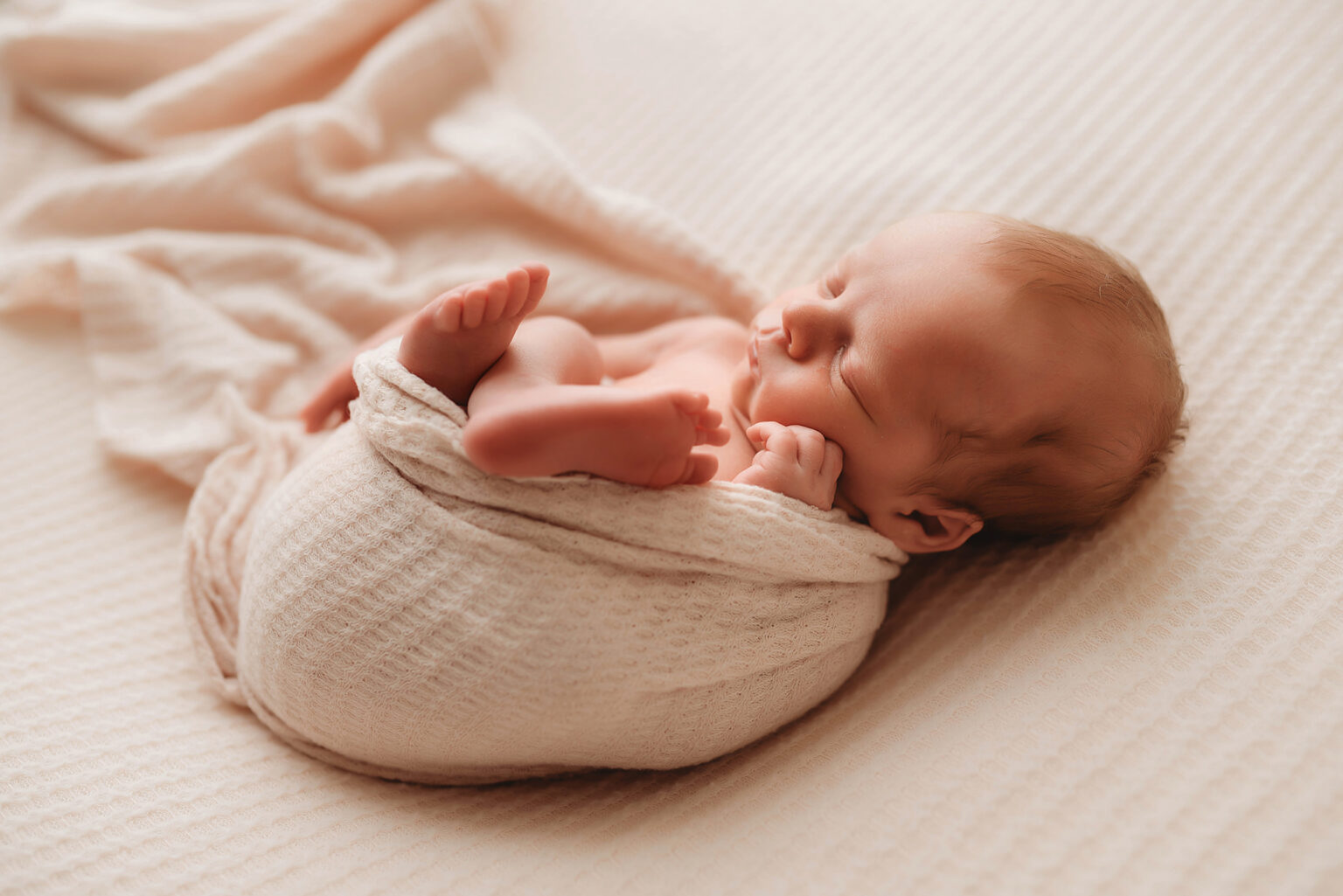 Newborn Baby Boy Session | Asheville Family Photography